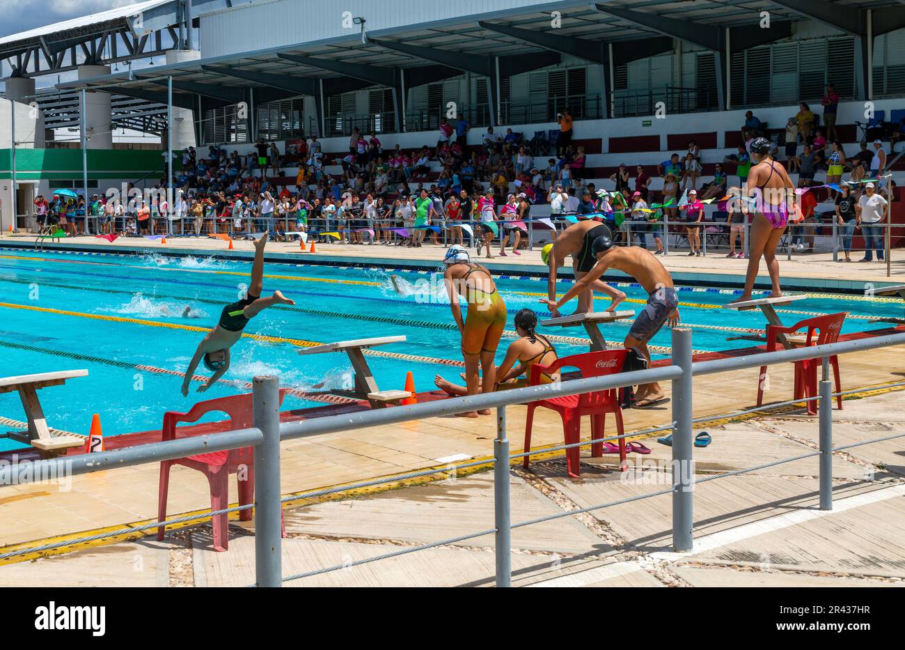 Young people at swimming pool gala event, relay race in progress ...