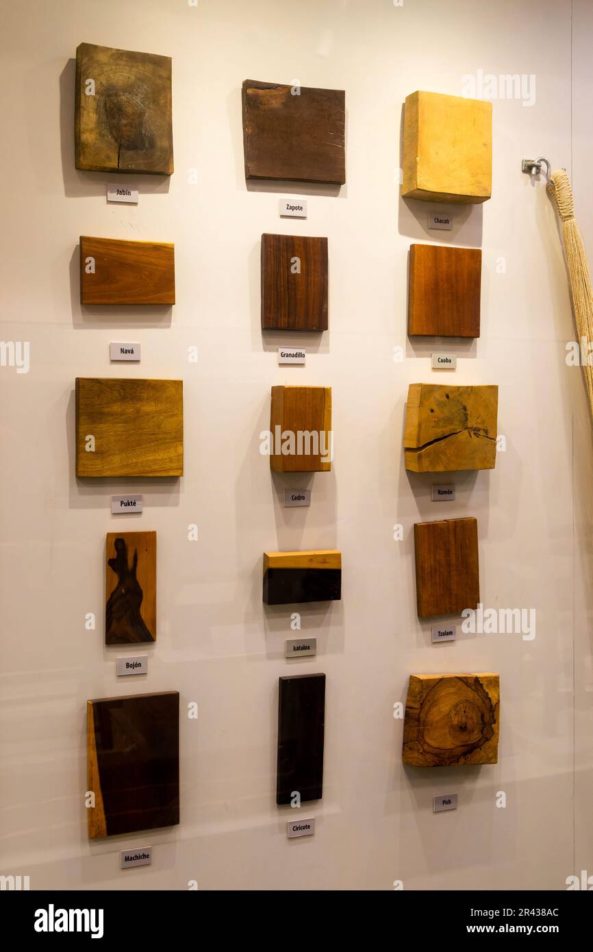 Interior of city museum, Campeche city, Campeche State, Mexico display ...