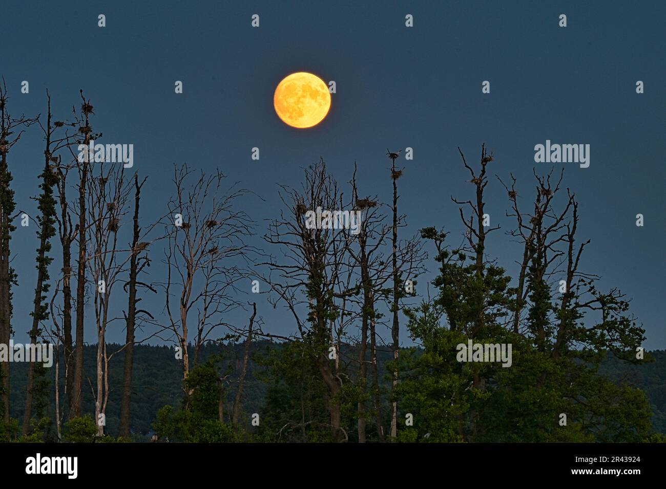 An island in the lake, at moonrise Stock Photo - Alamy
