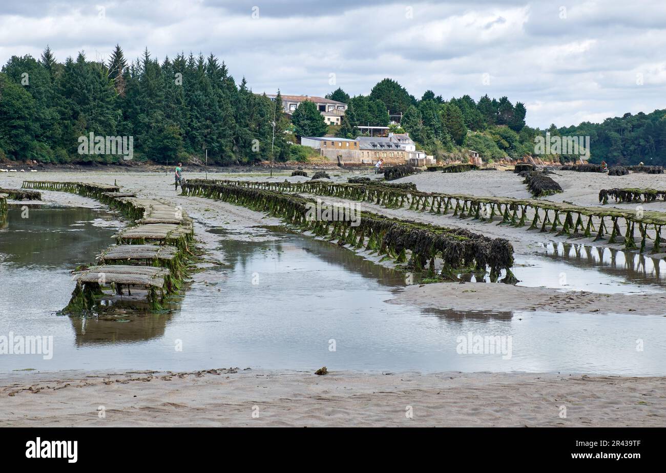 The belon river hi-res stock photography and images - Alamy