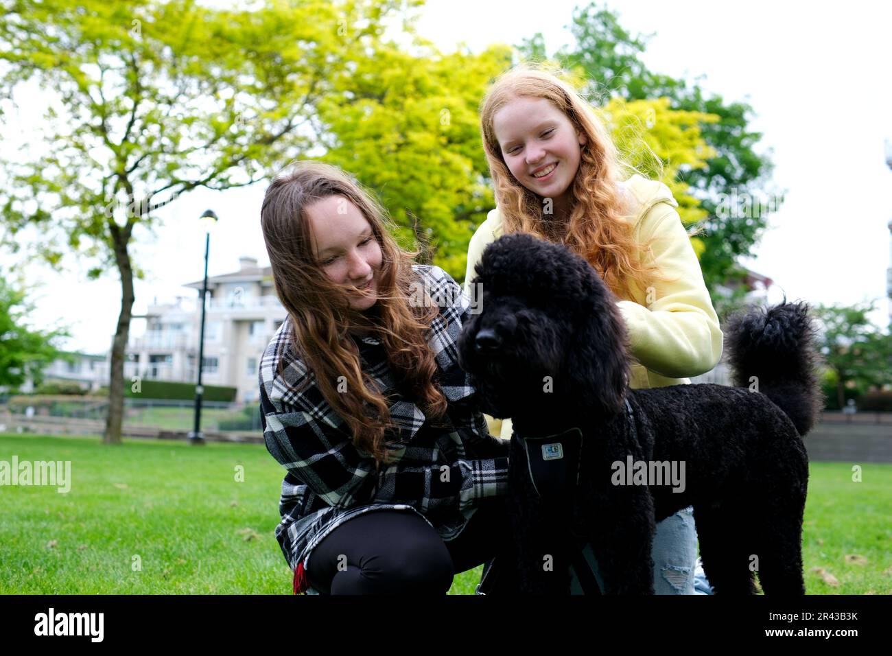 two teenage girls stroking a dog hugging playing with a pet sister ...