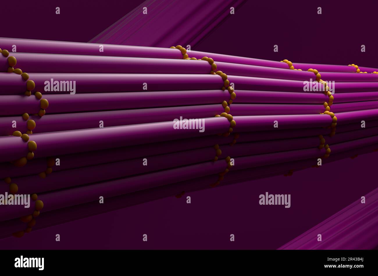 Skeletal muscle tissue in the human body - 3d illustration closeup view ...