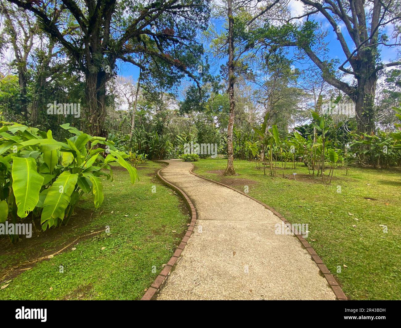 The Lankester Botanical Gardens are a set of gardens outside of Cartago ...