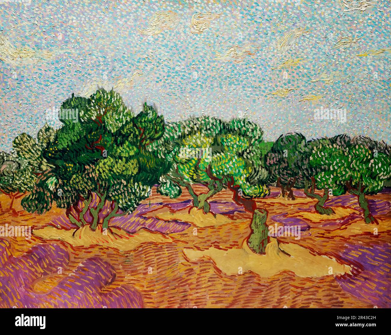 Painting vincent van gogh olive hi-res stock photography and images - Alamy