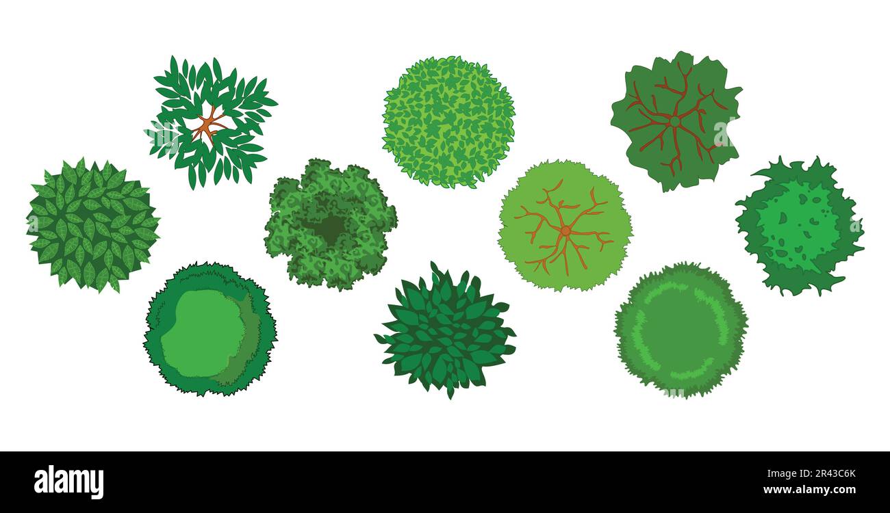 various detailed colorful cartoon trees set collection vector image ...