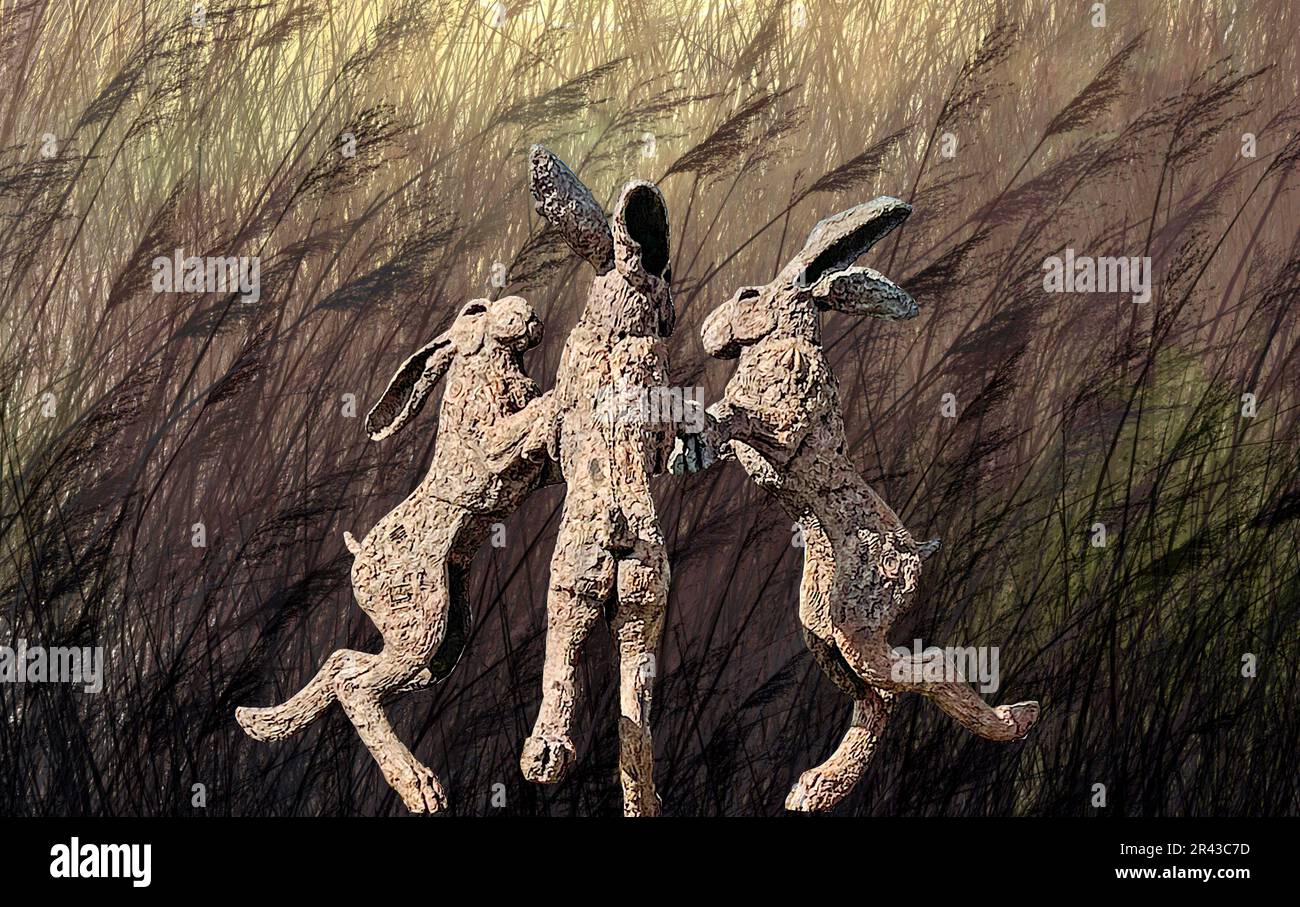Mad March Hares Circle Dancing Stock Photo - Alamy