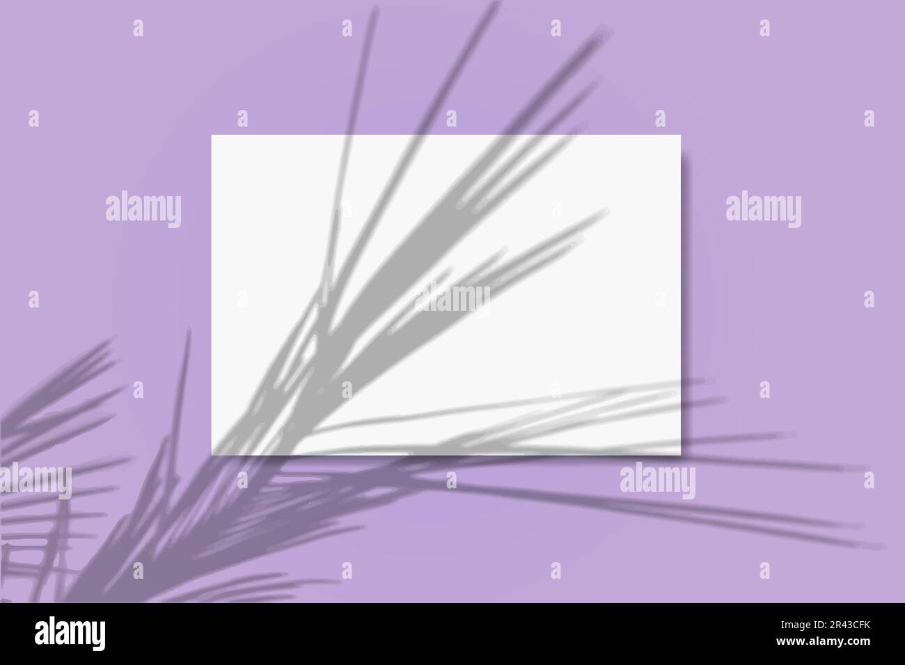 Natural light casts shadows from the palm branch on a rectangular sheet of white A4 paper lying ...