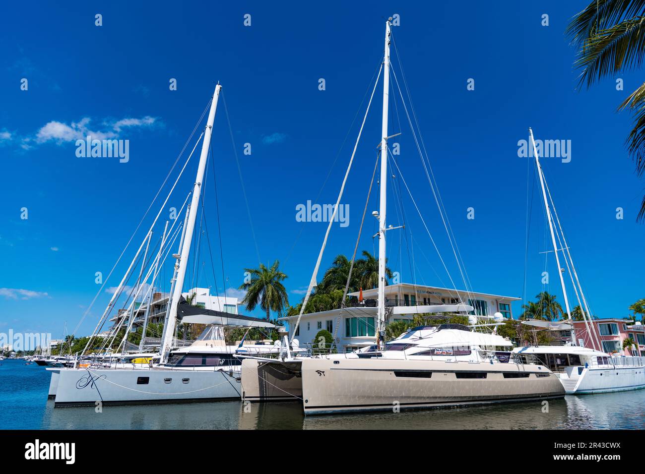 Miami, Florida USA - March 25, 2023: summer sailing yacht catamaran in ...
