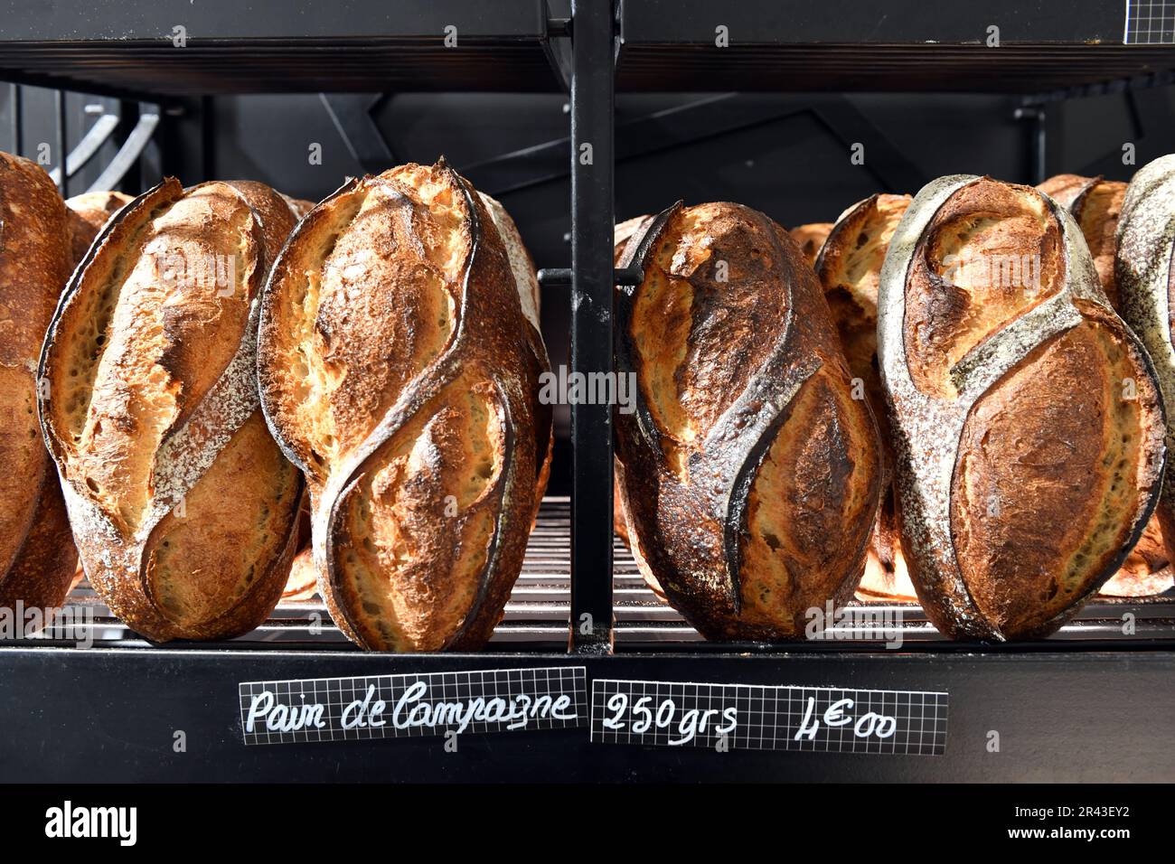 French country bread - Pain de Campagne - Paris - France Stock Photo ...
