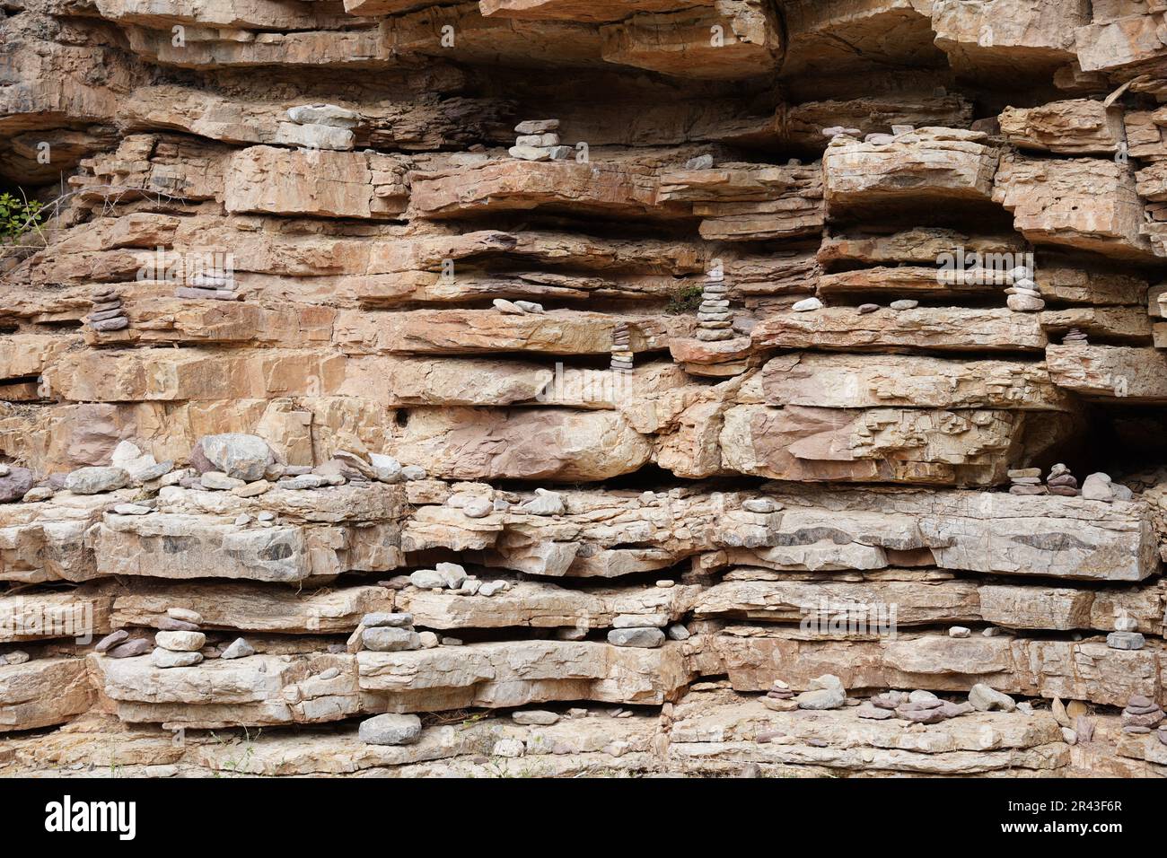 Flint inside of limestone rocks in the bottom of Jacob s Canyon at ...