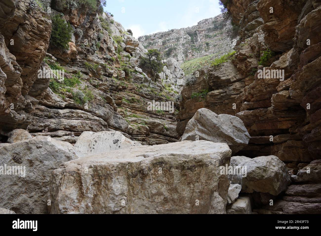 Flint inside of limestone rocks in the bottom of Jacob s Canyon at ...