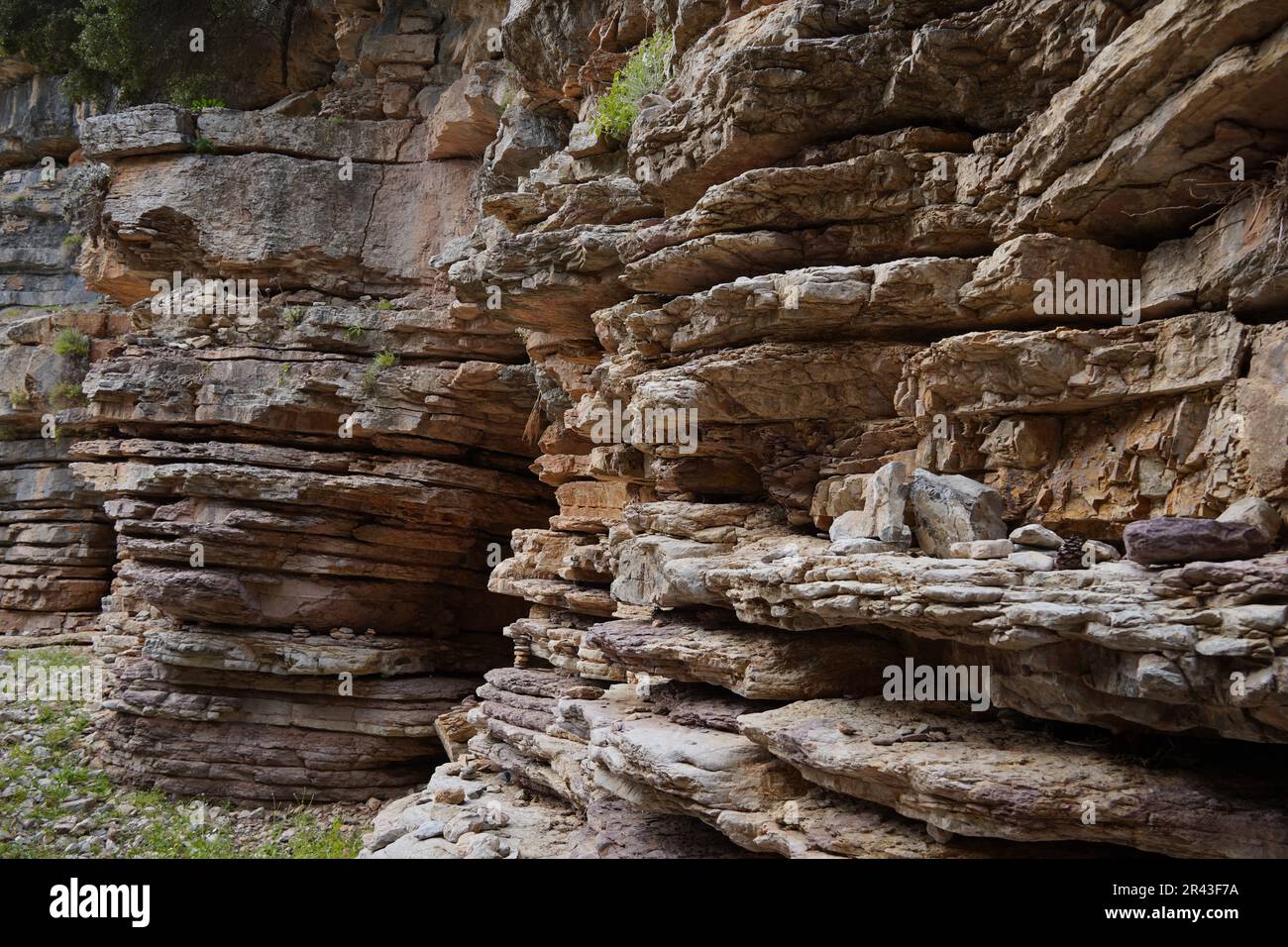 Flint inside of limestone rocks in the bottom of Jacob s Canyon at ...