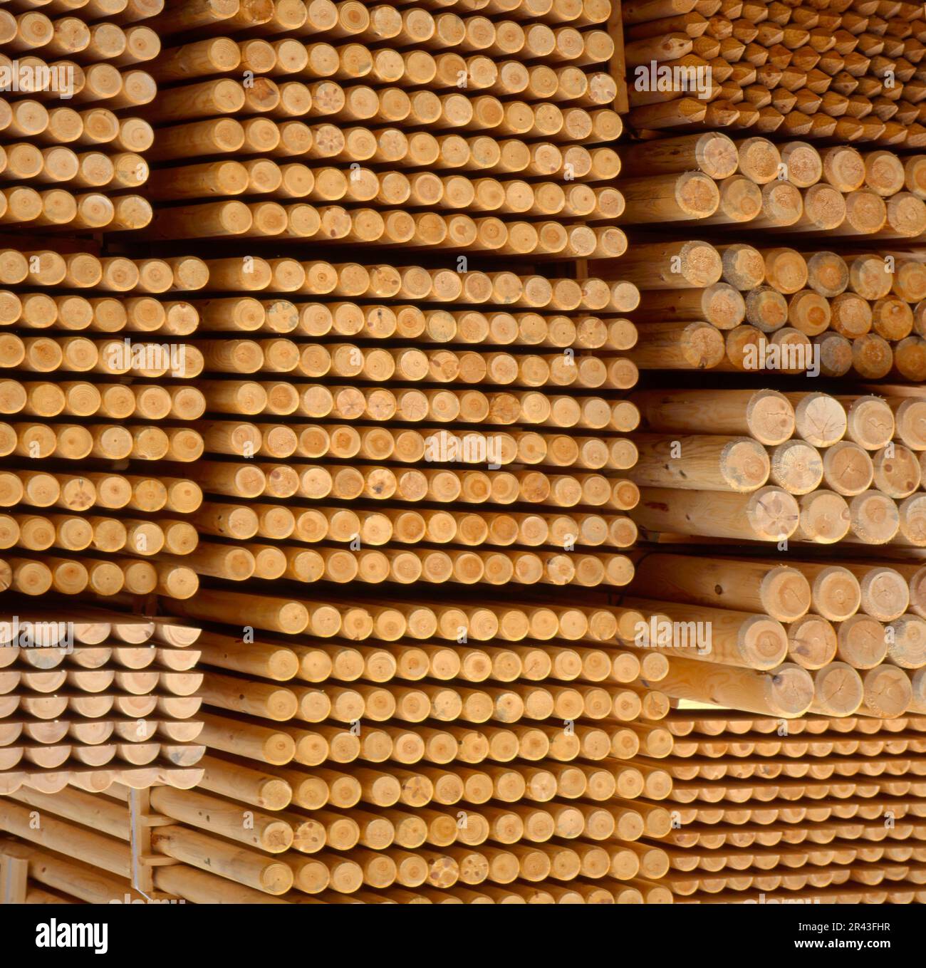 Log piles, stock Stock Photo - Alamy