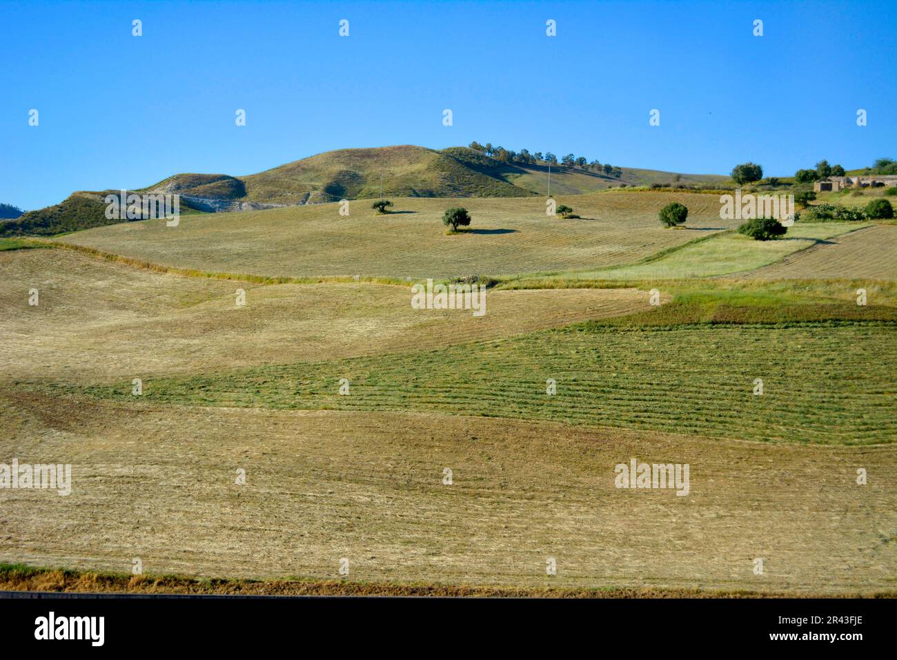 Italy sicily enna field hi-res stock photography and images - Alamy