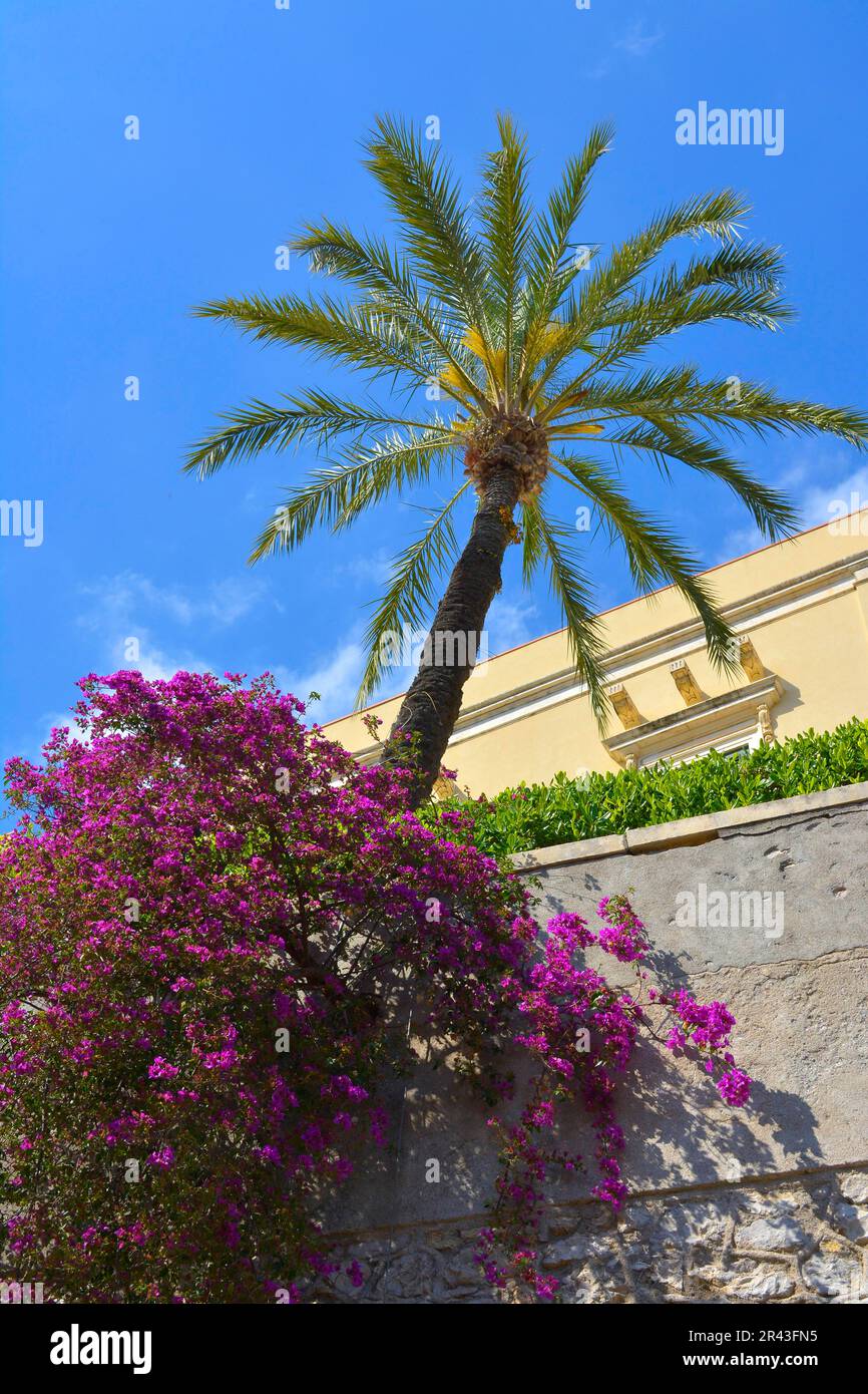Italy, Italia, Sicily, Taormina, Building with palm trees Stock Photo ...