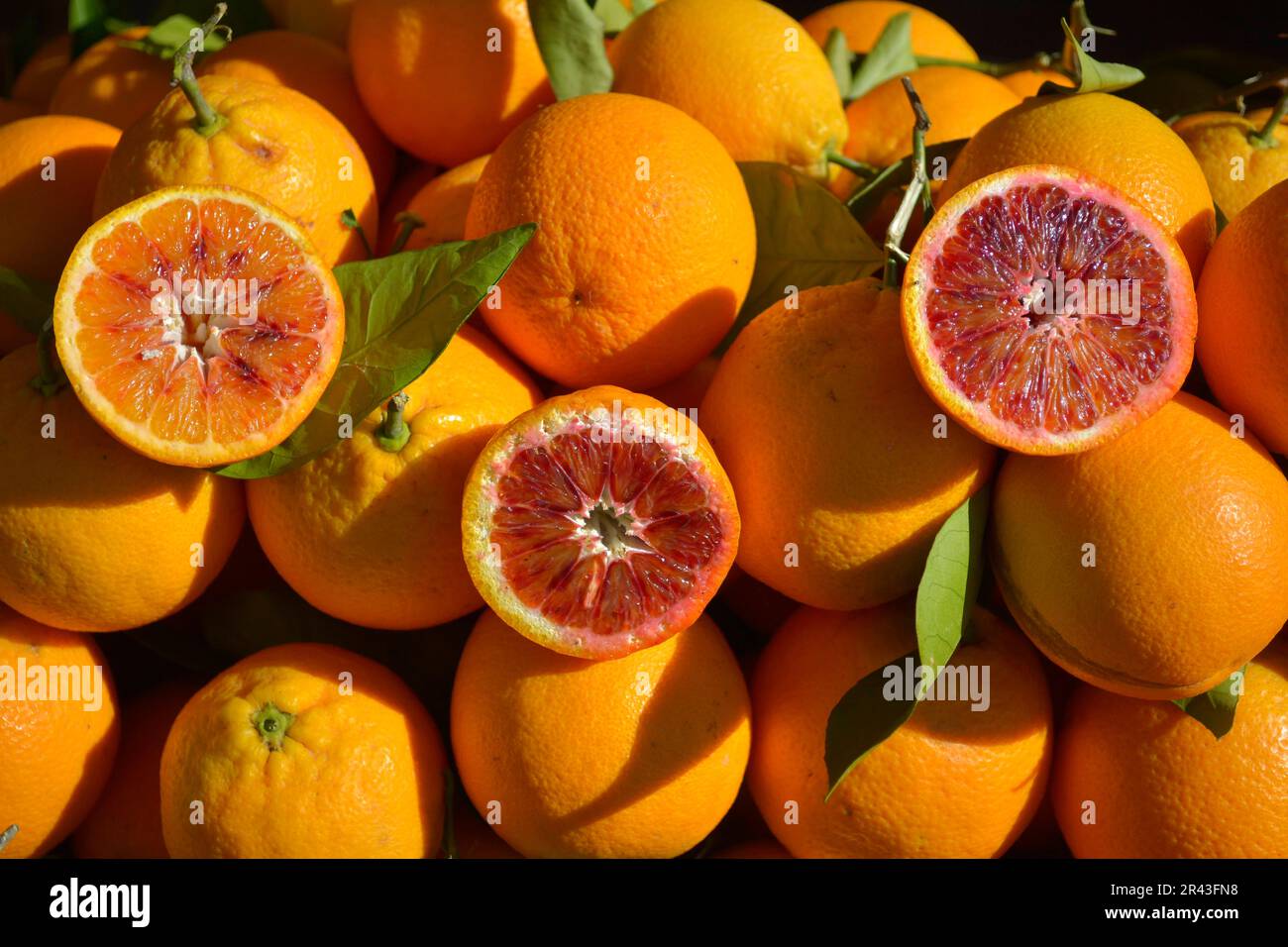 Italy citrus hi-res stock photography and images - Alamy
