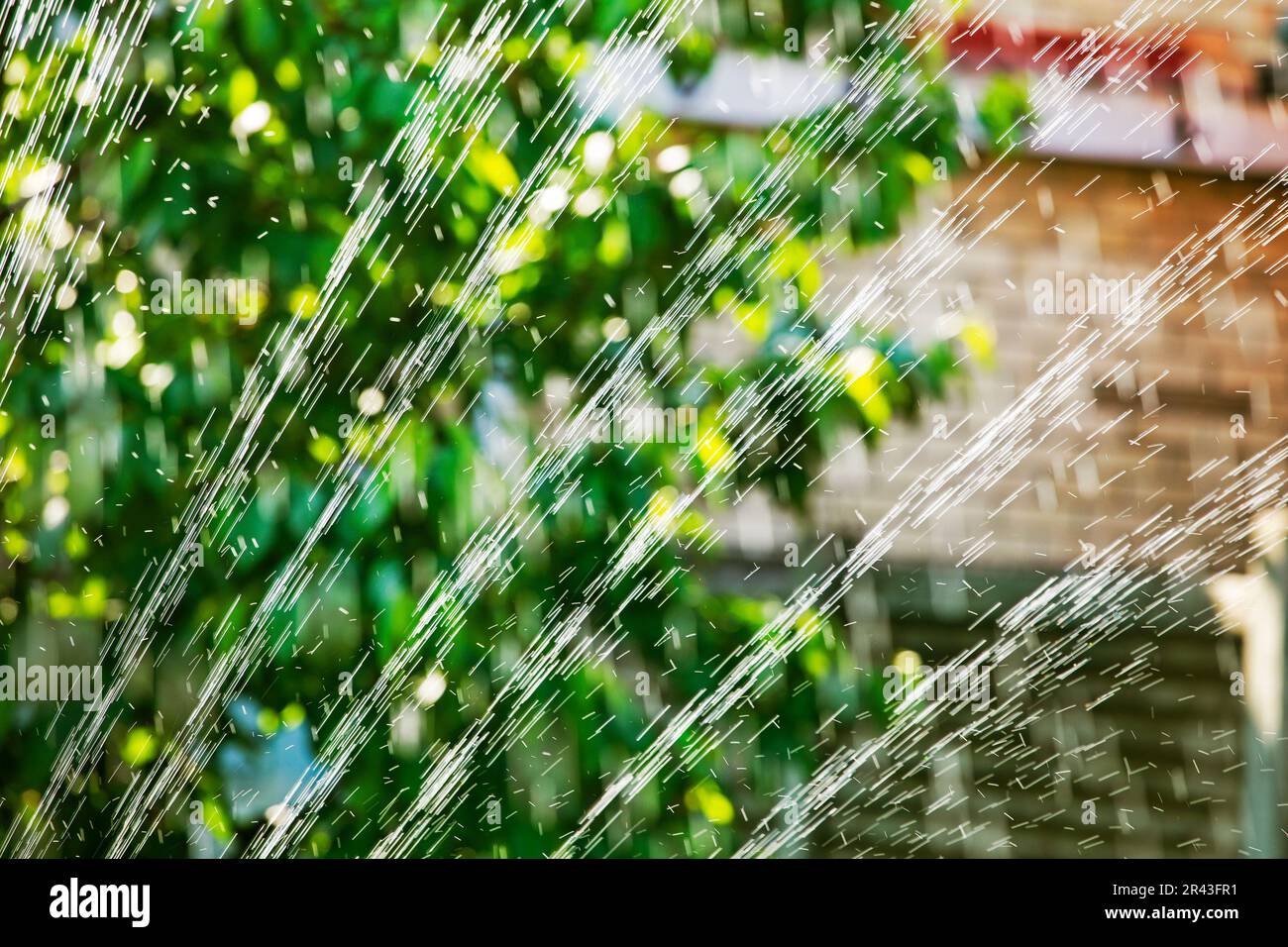 abstract background from a garden sprinkler in dry weather. garden care ...