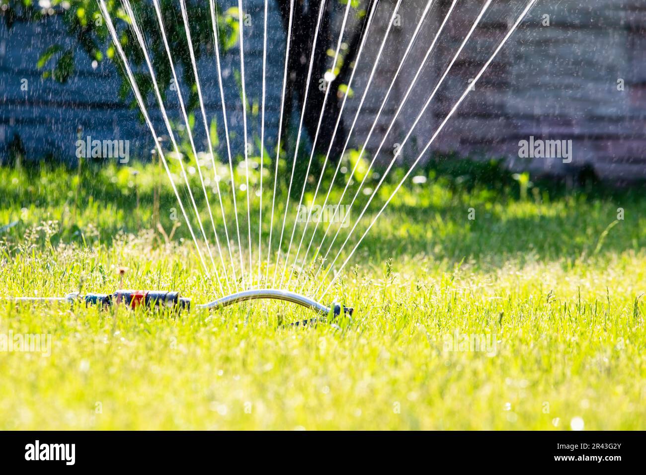 Garden sprinkler watering trees hi-res stock photography and images - Alamy