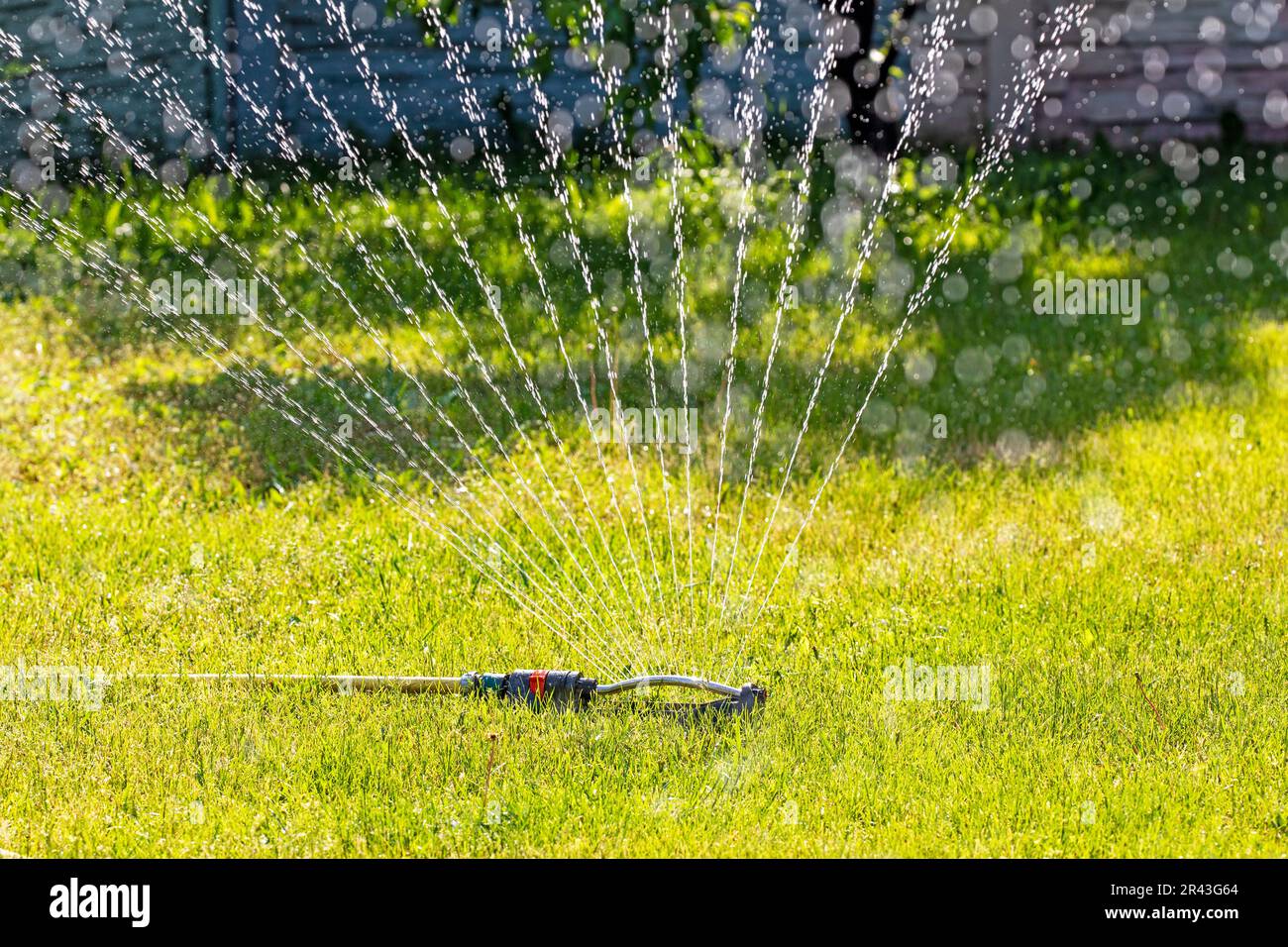 garden sprinkler watering trees in the early morning in the garden ...