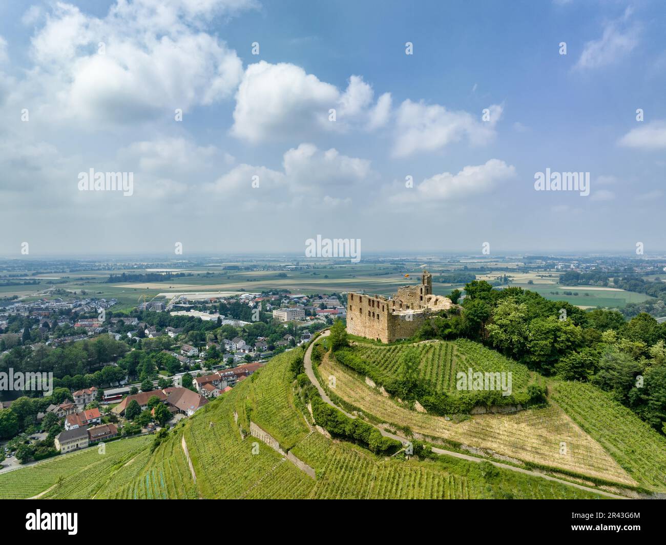 Aerial view of Staufen Castle, on a vineyard, Schlossberg, Staufen im ...