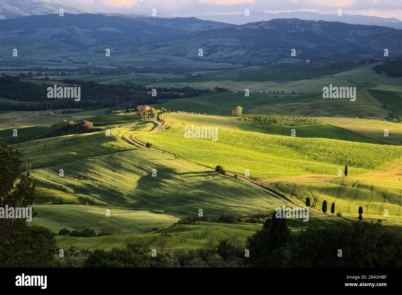 Gladiator Fields in Val d'Orcia Tuscany Stock Photo - Alamy