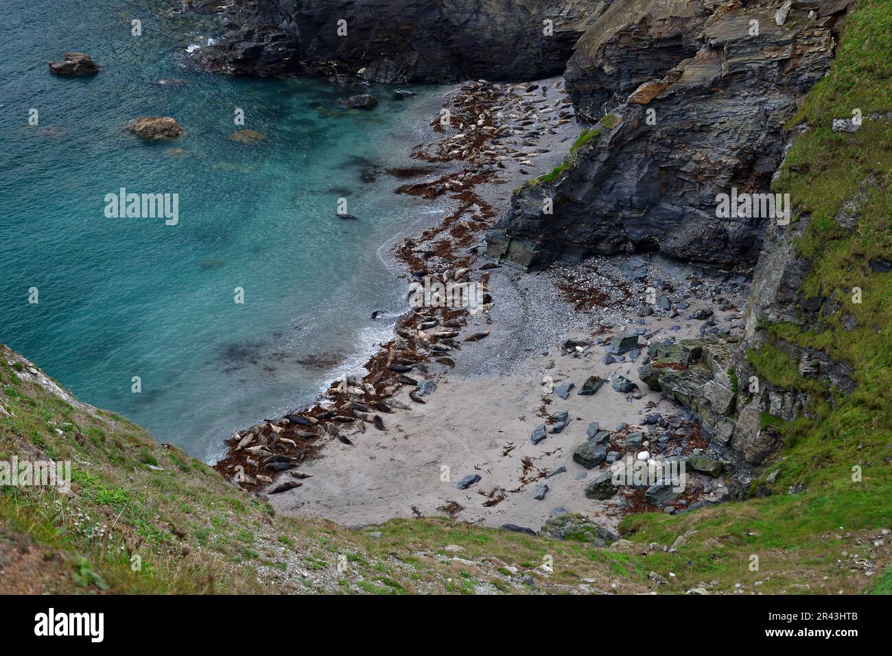 Godrevy Point in Cornwall Stock Photo - Alamy