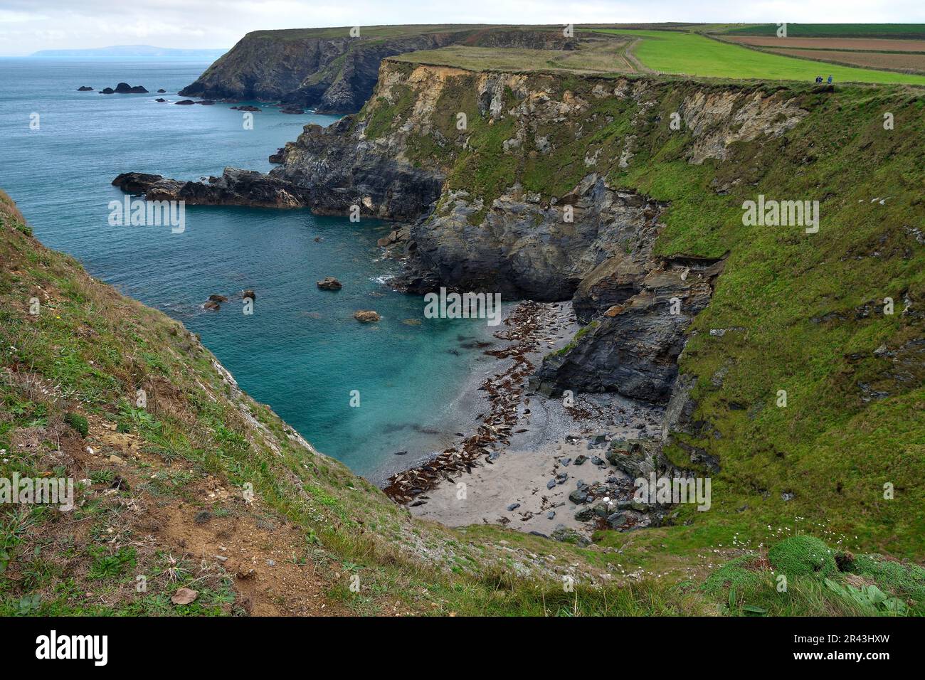 Godrevy Point in Cornwall Stock Photo - Alamy