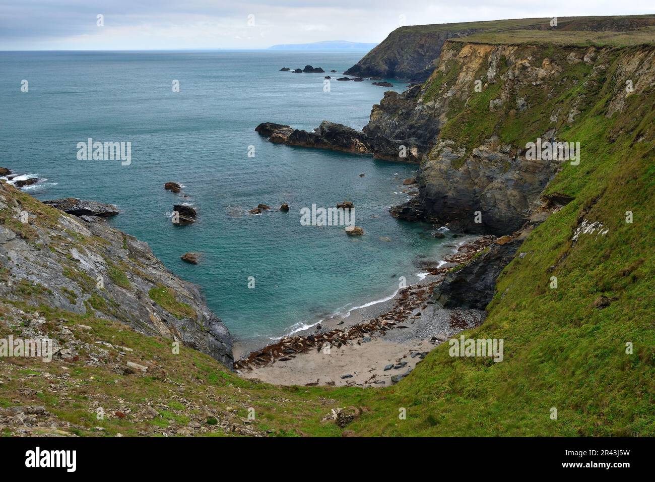 Mutton cove godrevy hi-res stock photography and images - Alamy