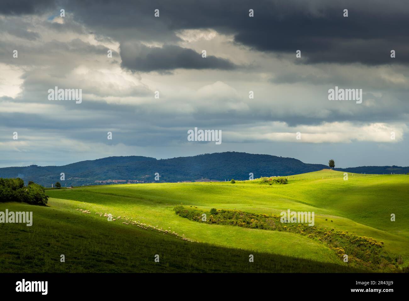 View of the Scenic Tuscan Countryside Stock Photo - Alamy