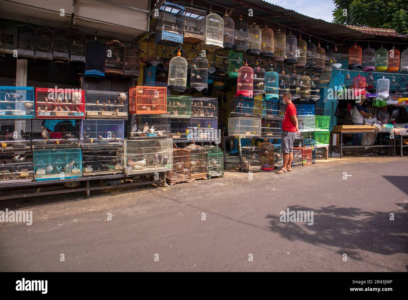 Animal Market activities in Splendid Malang Stock Photo - Alamy