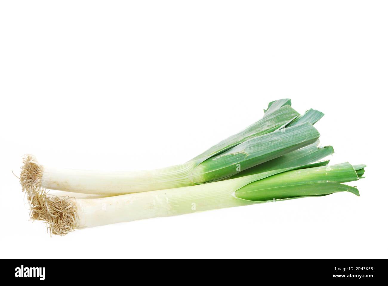 Leek vegetable hi-res stock photography and images - Alamy