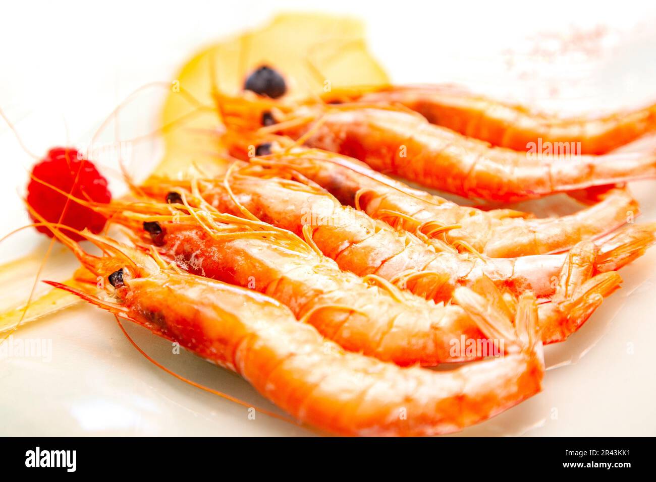 Fresh food. Seafood and fish from the sea Stock Photo - Alamy