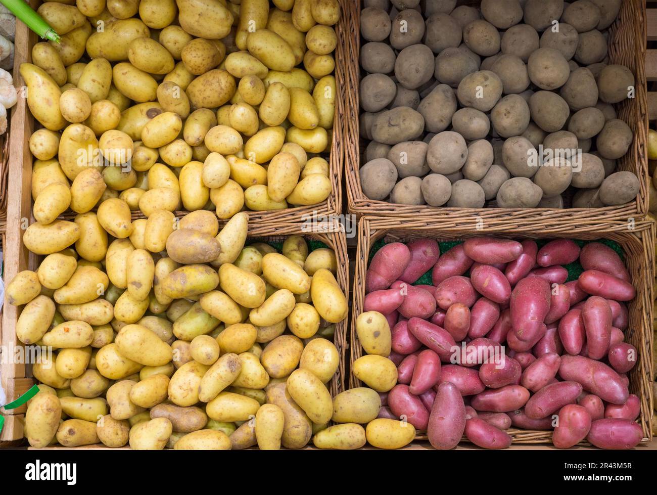 Different kinds of potatoes at a market Stock Photo - Alamy