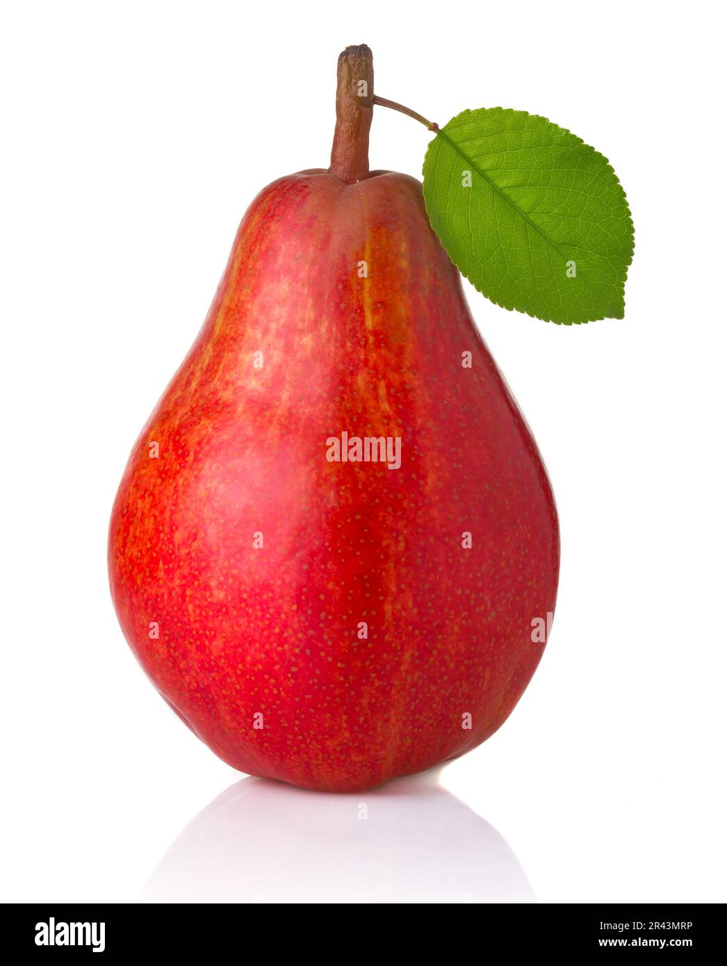 Ripe red pear fruit with green leaves isolated on white background ...