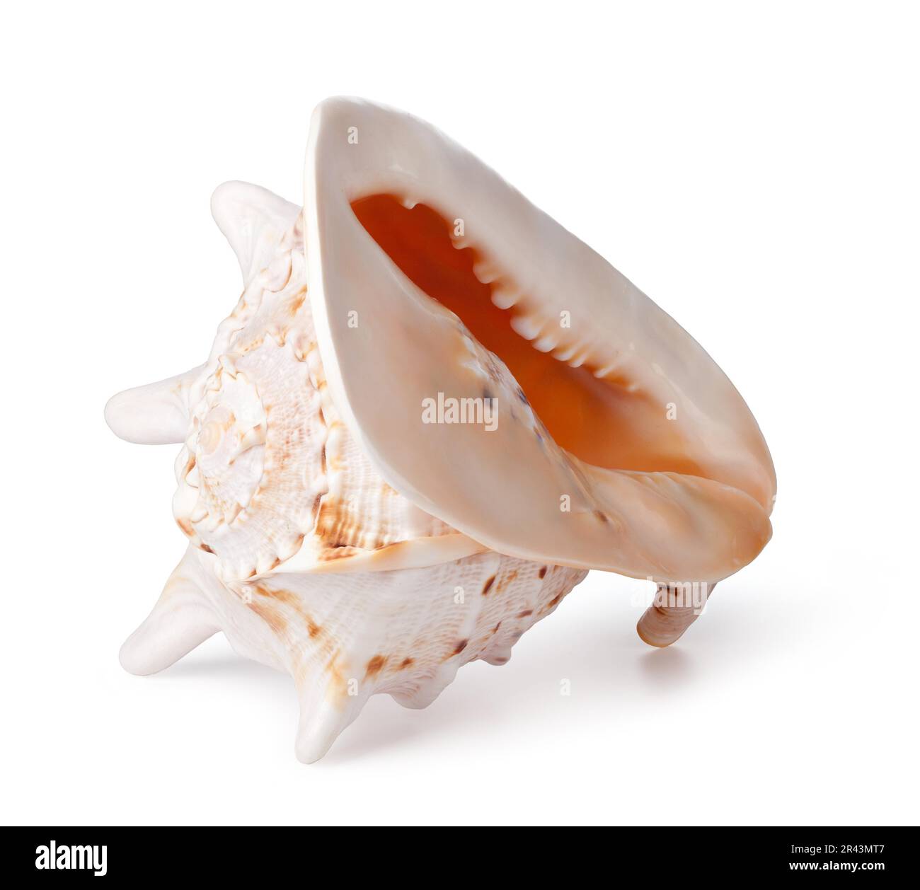 View sea against background Cut Out Stock Images & Pictures - Alamy