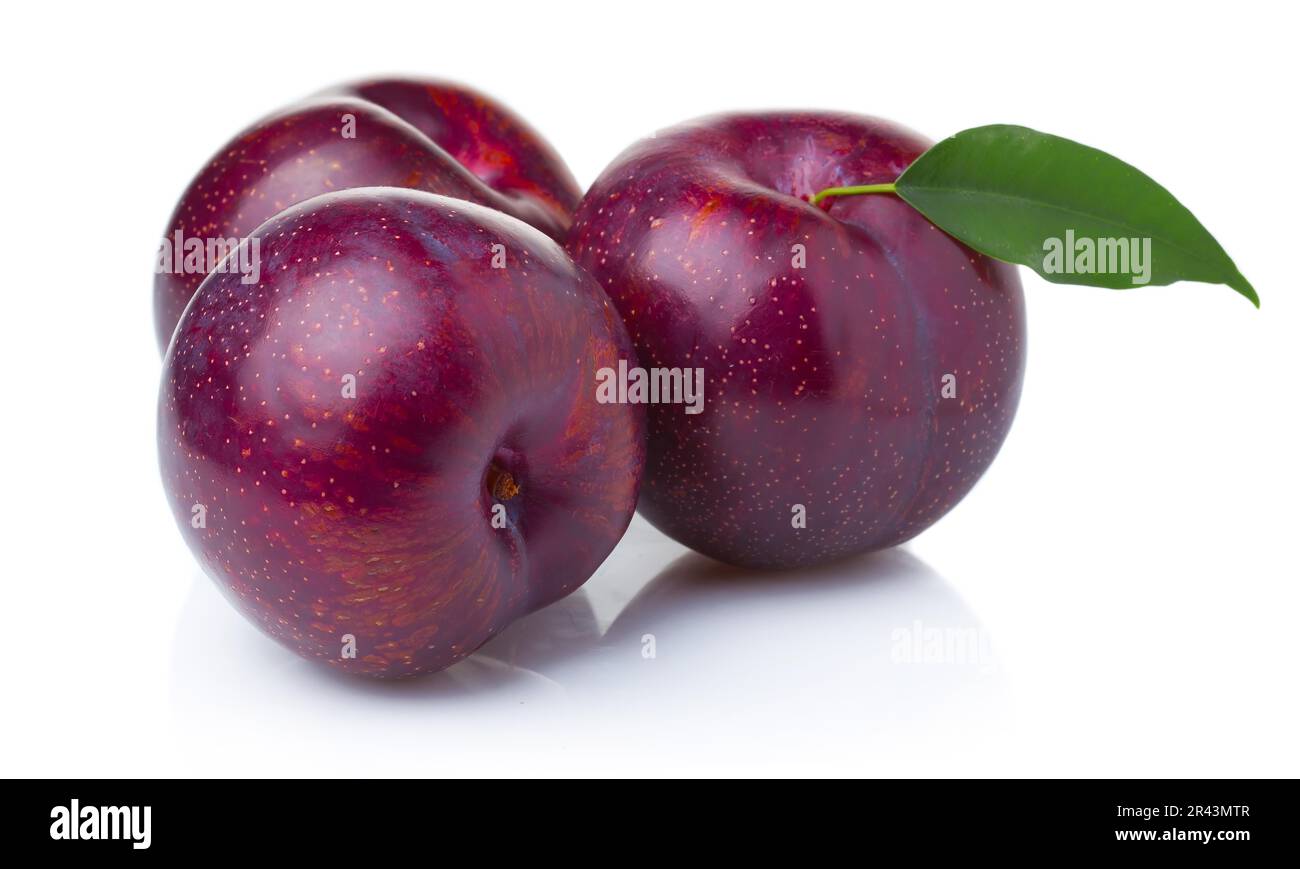 Three ripe purple plum fruits with green leaves isolated on white ...