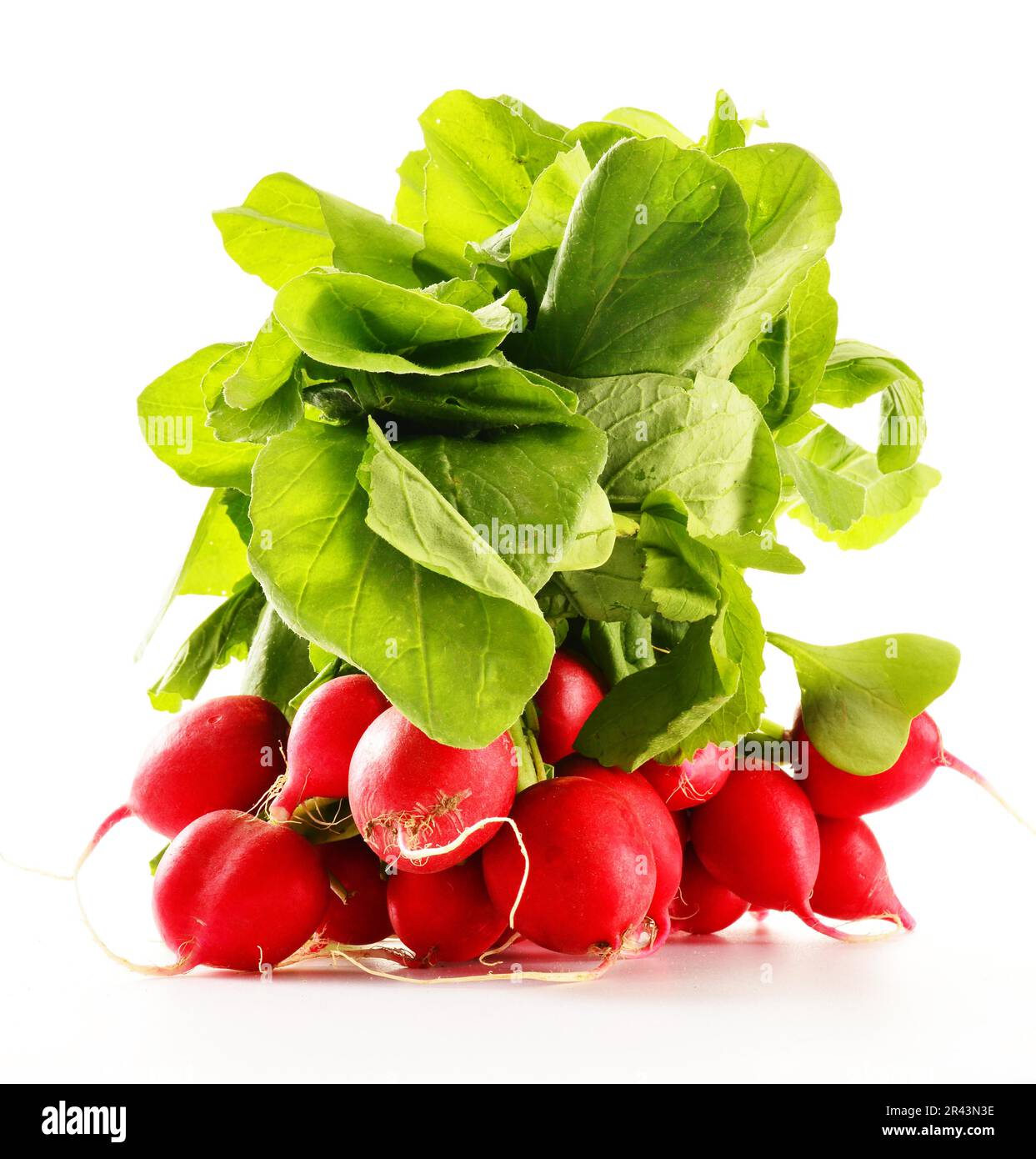Bunch of radish isolated on white background Stock Photo - Alamy