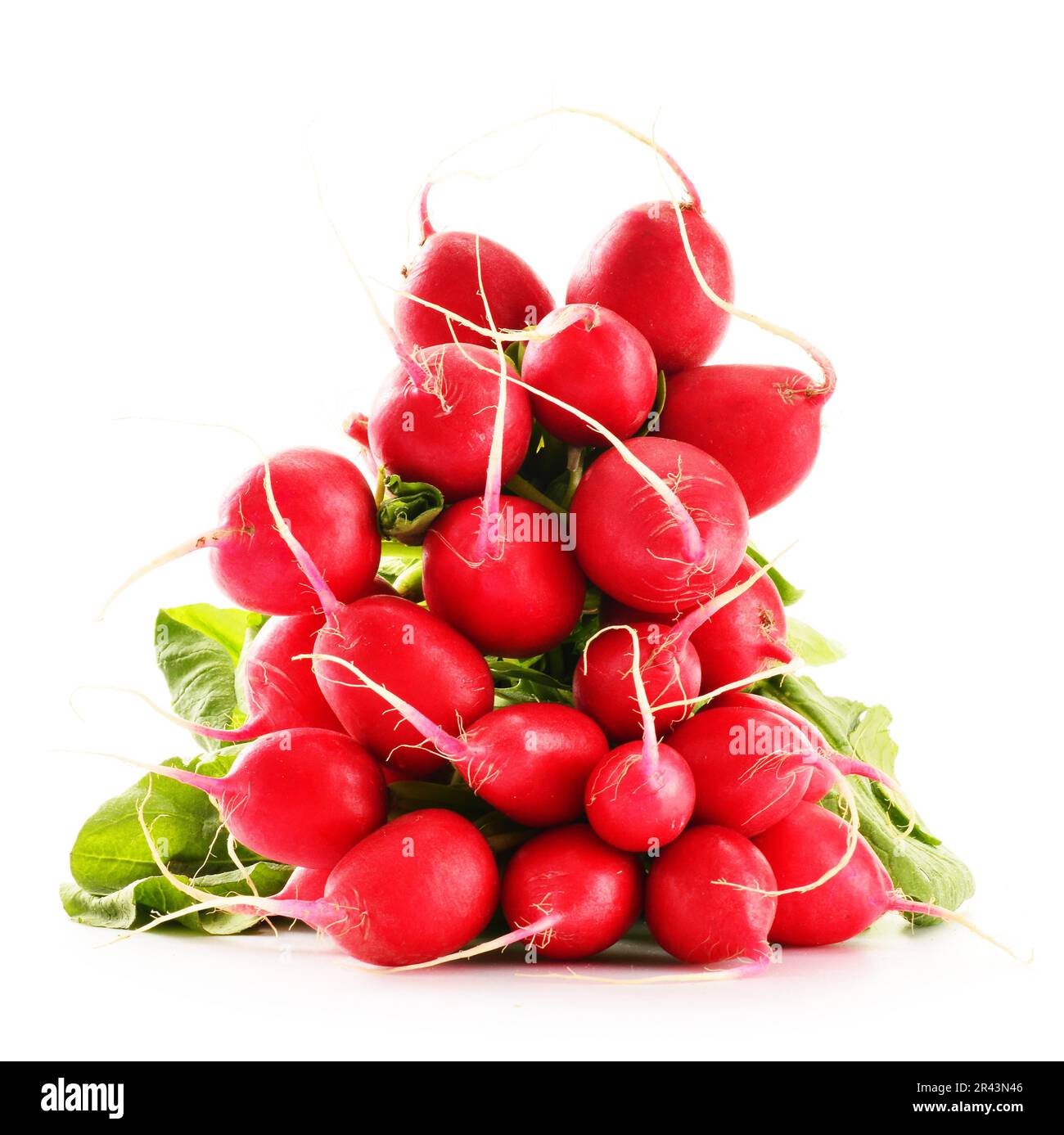 Bunch of radish isolated on white background Stock Photo - Alamy
