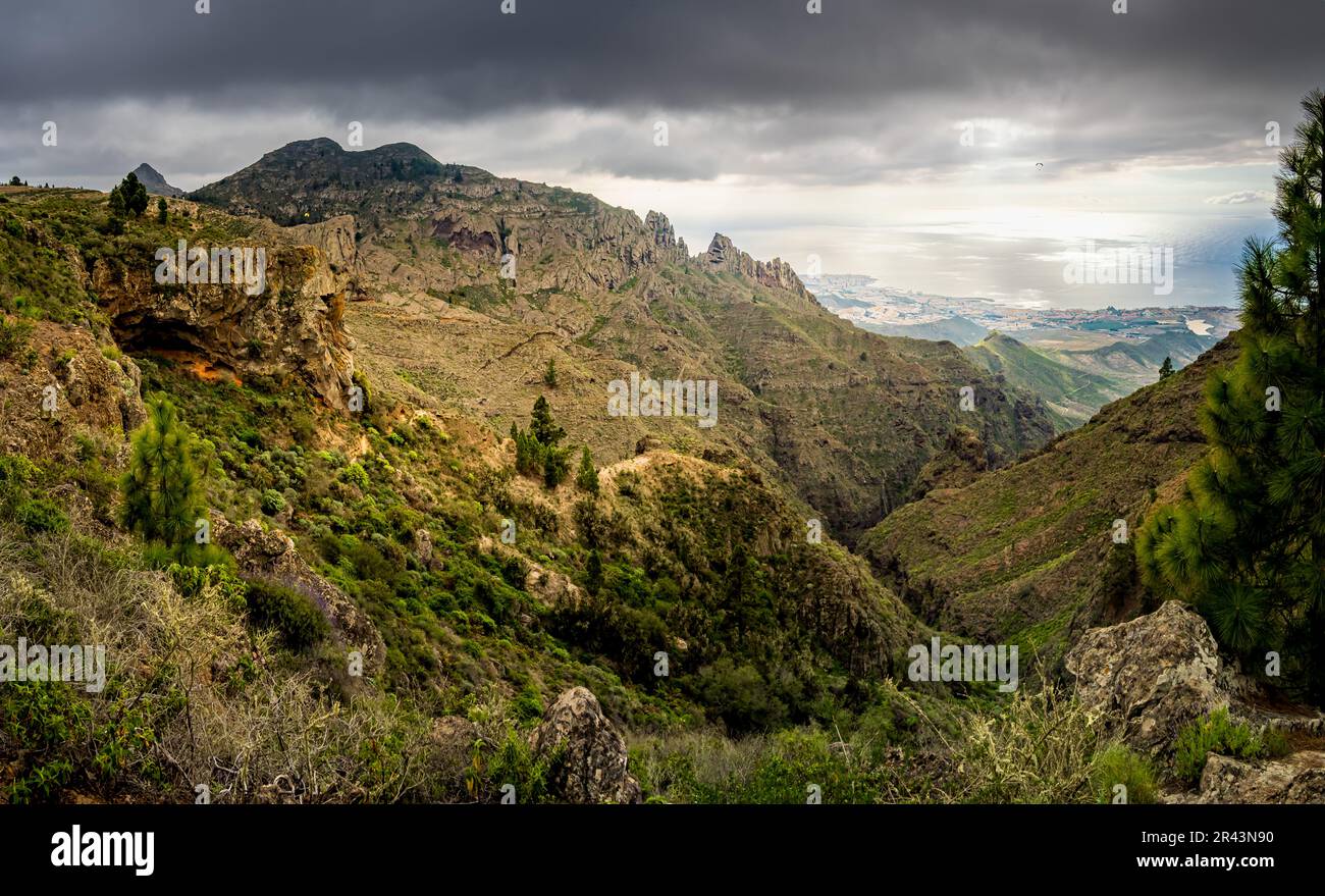 Nariz de agua hi-res stock photography and images - Alamy