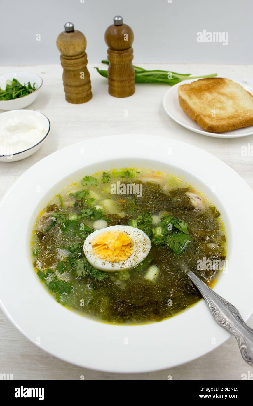 Green Sorrel soup made from broth, sorrel leaves, eggs (hard boiled ...