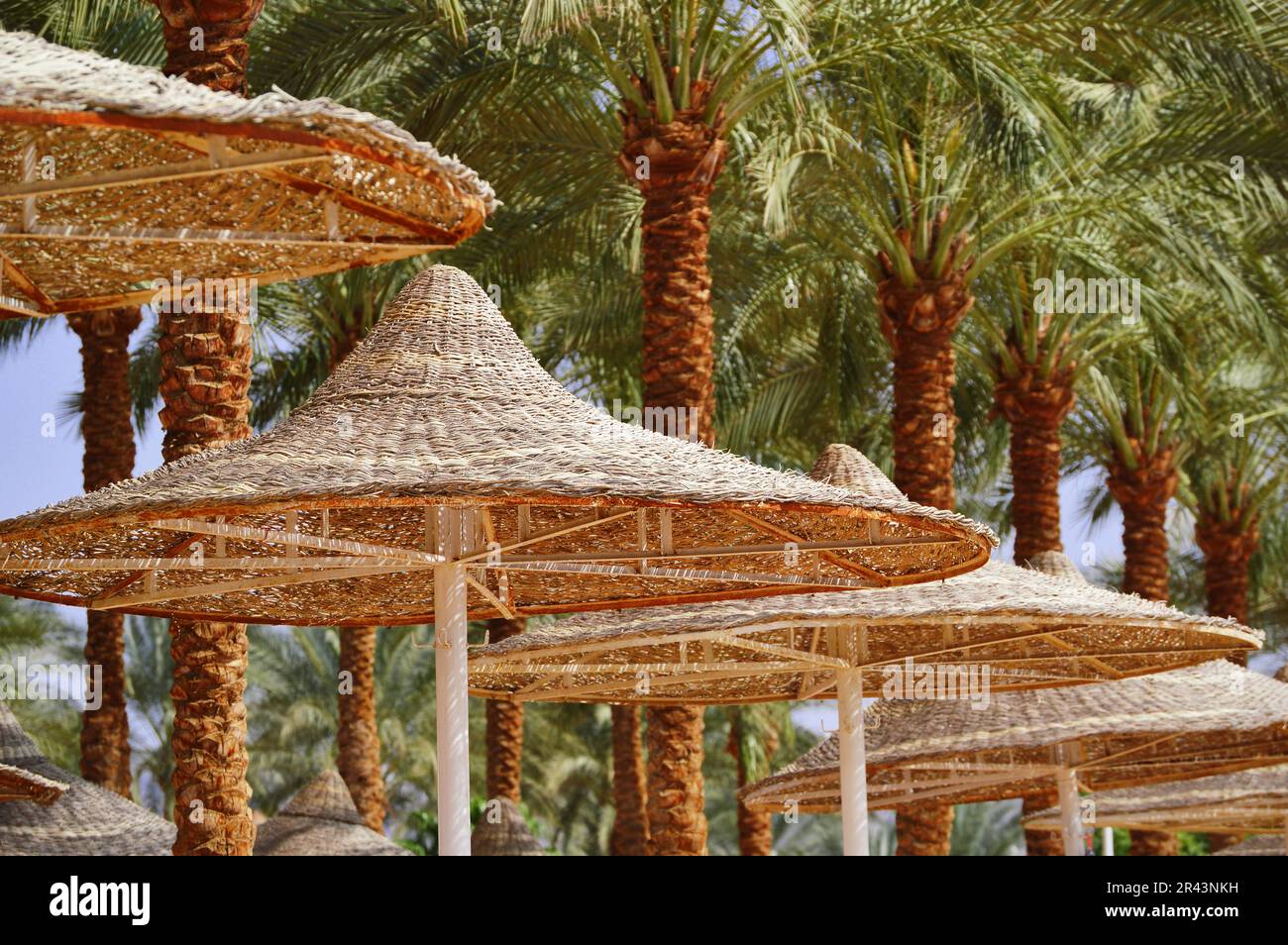 Sea beach during hot summer day Stock Photo - Alamy