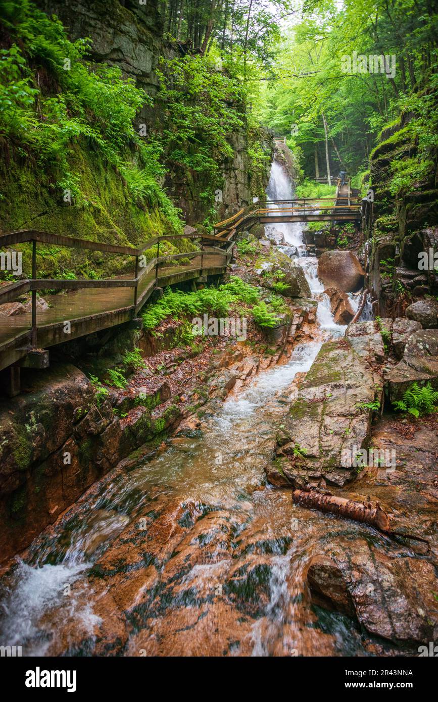 Franconia Notch State Park in New Hampshire Stock Photo - Alamy