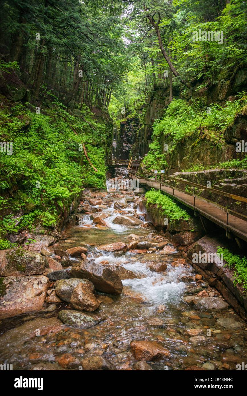 Franconia Notch State Park in New Hampshire Stock Photo - Alamy