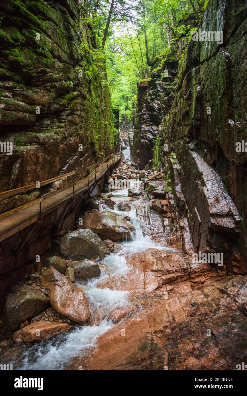 Franconia Notch State Park in New Hampshire Stock Photo - Alamy