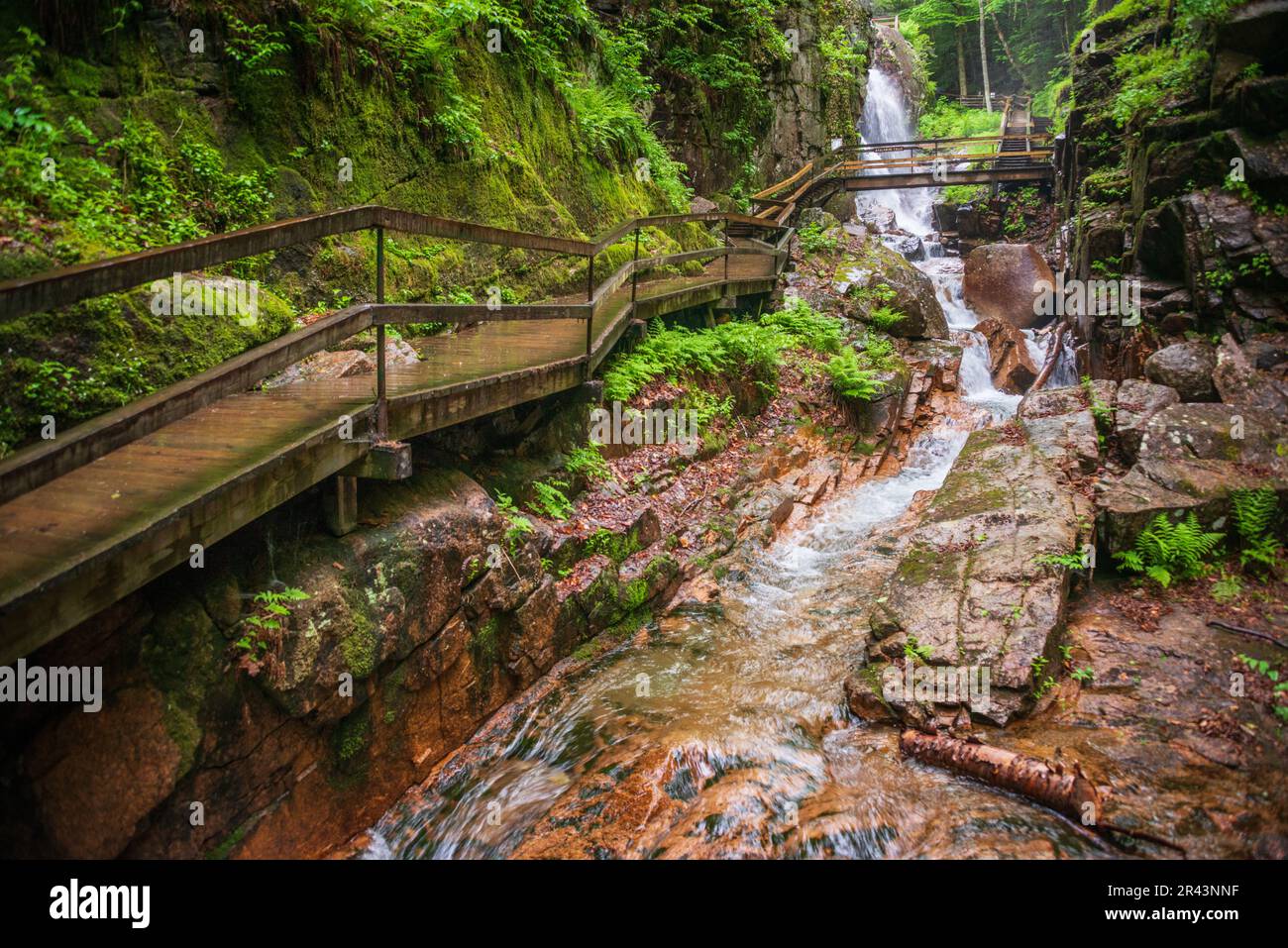 Franconia Notch State Park in New Hampshire Stock Photo - Alamy