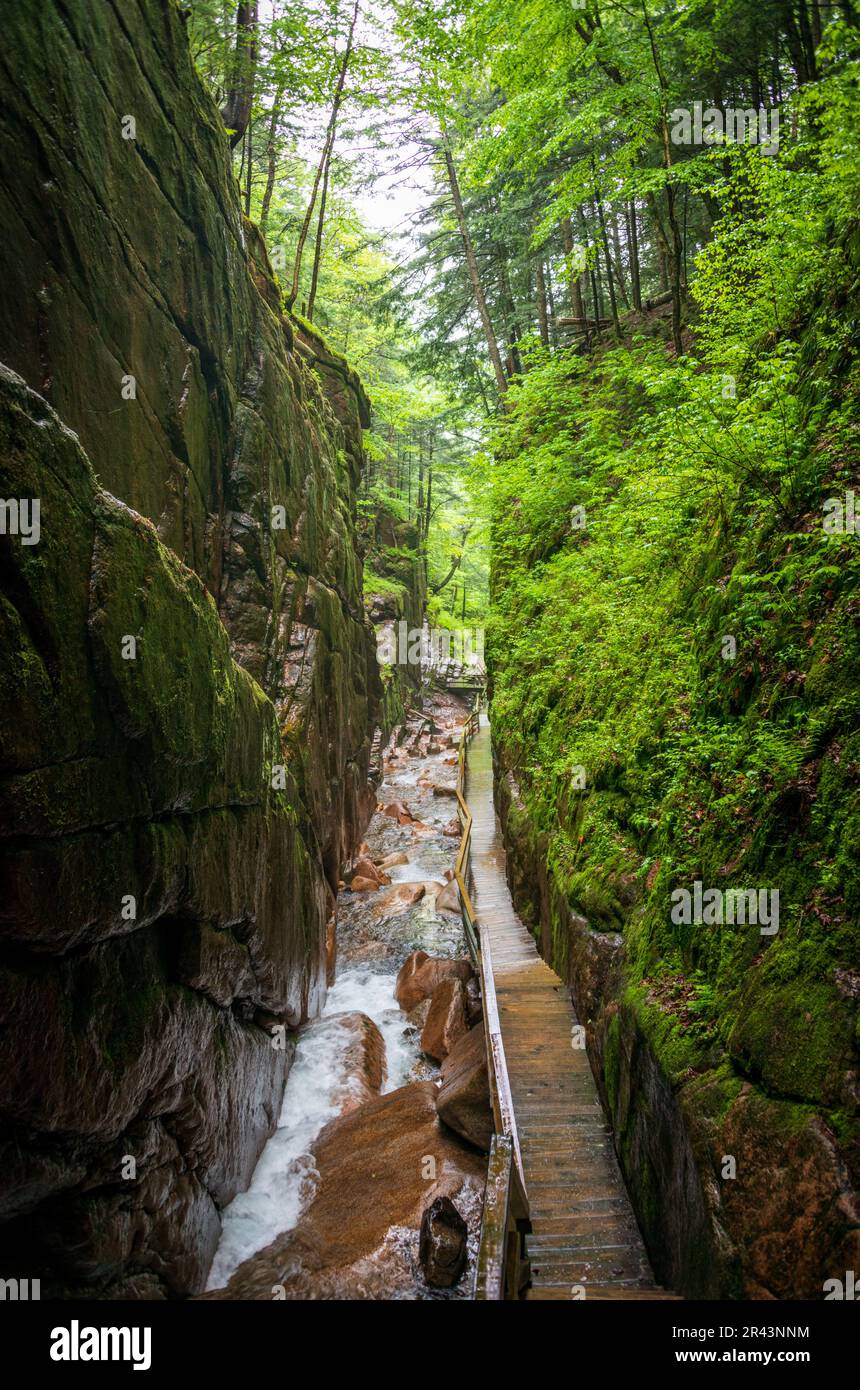 Franconia Notch State Park in New Hampshire Stock Photo - Alamy