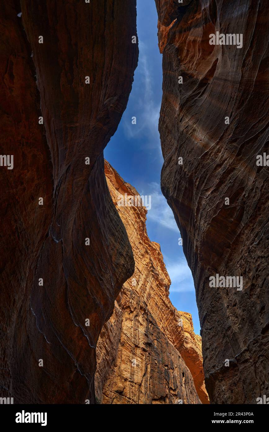 Nature Jordan. Stone rock historic sight in Petra. Travel Jordan ...