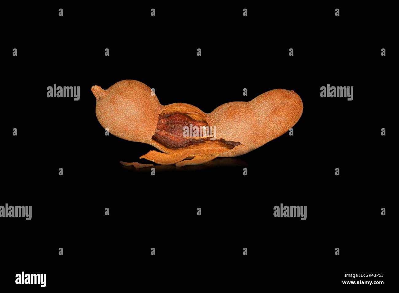 Broken open tamarind (Tamarindus indica) (also sour date), pod of the ...
