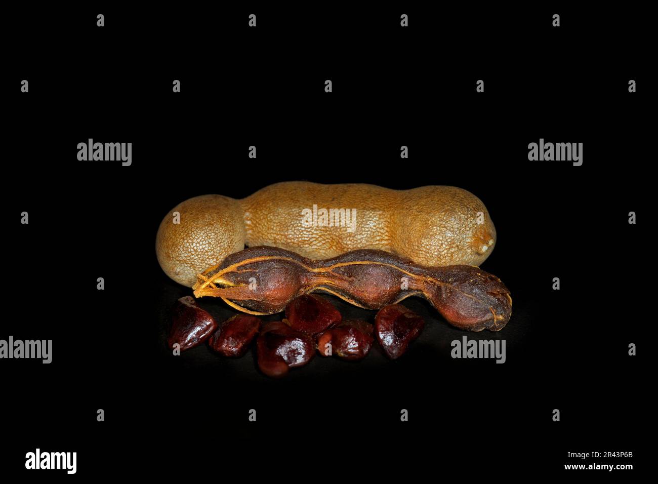 Tamarind tree hi-res stock photography and images - Alamy