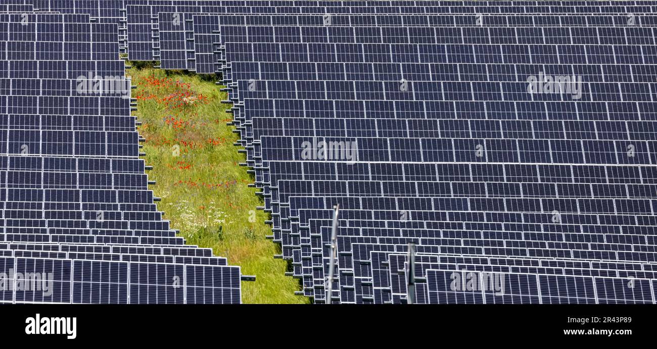 Solar field, solar park in the landscape, Nellingen, Baden-Wuerttemberg ...